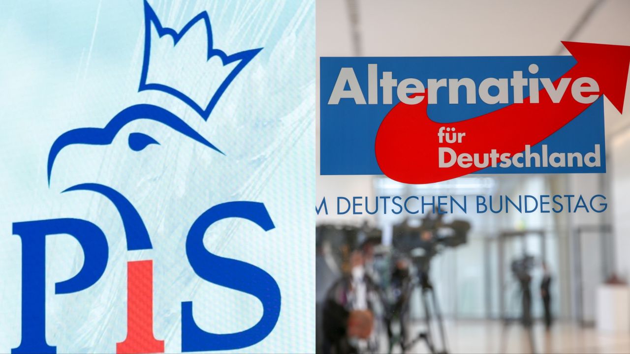 PiS, AfD adhere to ‘very similar values’: diplomat