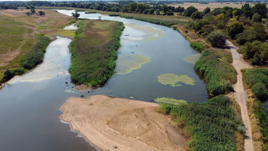 Niski stan rzeki Odry w Zachodniopomorskiem