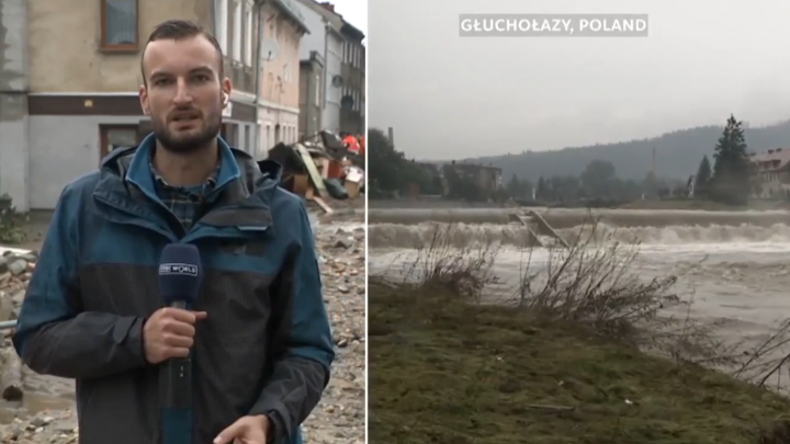 devastated in polish